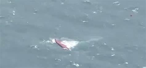 Eight Dead After South Korean Tanker Capsizes Off Japan Insider Paper