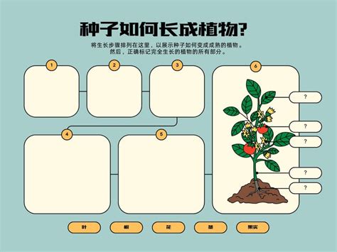 进程图模板 进程图设计模板 Canva可画