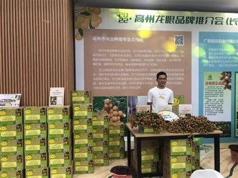 高州储良龙眼地头价达11元斤！果农感叹：种龙眼以来最高！澎湃号·媒体澎湃新闻 The Paper