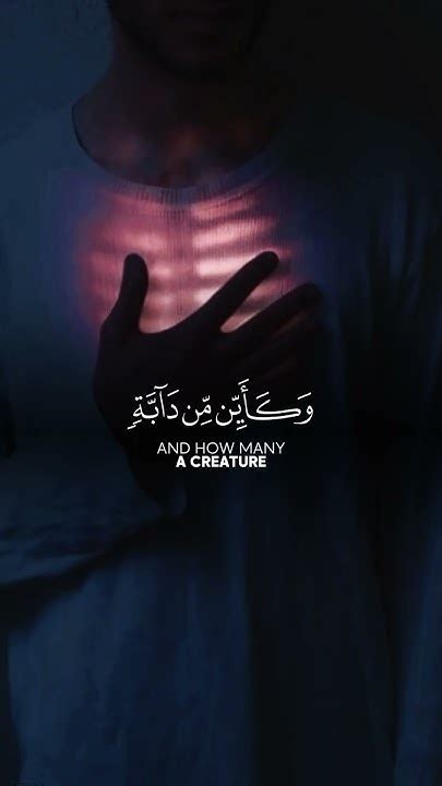 Quran Heart Touching Recitation Soo Beautiful 🥀♥ Status Lovequran