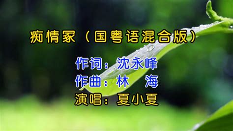 夏小夏的《痴情冢》：眼里柔情都是你，爱里落花水飘零；雁过无痕风有情，生死两忘江湖里！腾讯视频