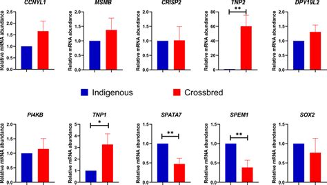 Relative Expression Of Selected Genes In Crossbred And Indigenous