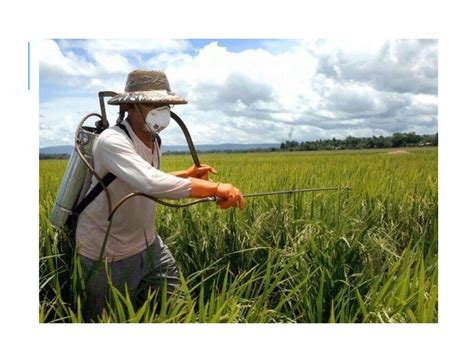 Загрязнение окружающей среды сельским хозяйством презентация онлайн