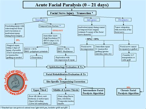 Facial Paralysis Causes Symptoms Diagnosis Treatment Illnesshacker