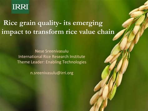 Rice Grain Quality And Its Value Chain PDF Business Business And Finance