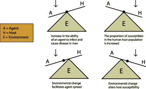 Components Of Epidemiology Triangle EngelonMcintyre