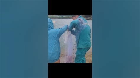 시간당 30만원 투망 쪽집게 강사 Youtube