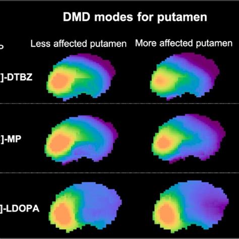 Dynamic Mode Decomposition Dmd Modesspatial Patterns Z Transformed