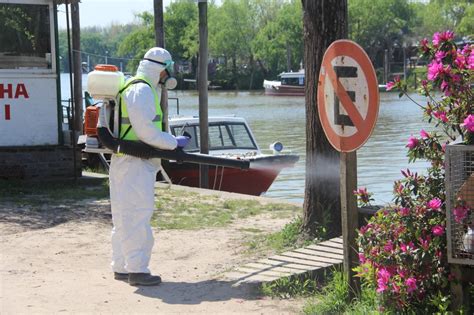 Campaña contra el dengue en el puerto del Paraná de las Palmas Semanario Regional