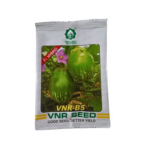Buy Vnr Vnr B5 F1 Hybrid Brinjal Organic Vegetable Seeds Online
