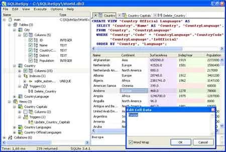 Database Browser Portable USB Pendrive Apps