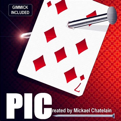 Buy Pic Mickael Chatelain At Pegani