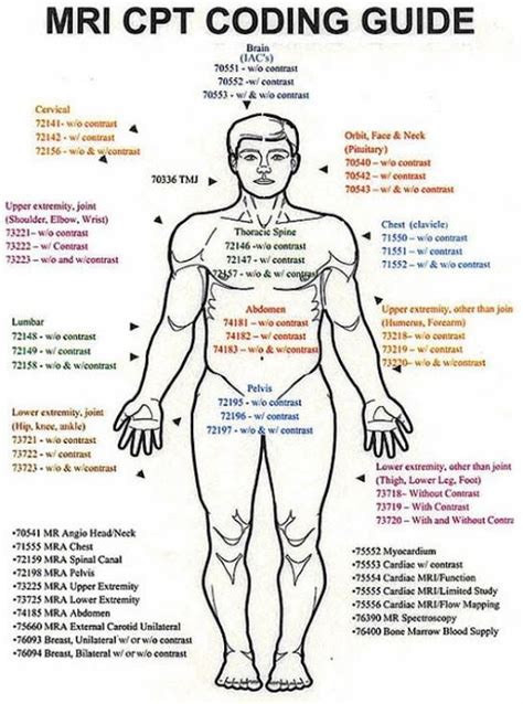 Cpt Codes For Mri Brain Breast Lumbar Spine And Shoulder Radiology