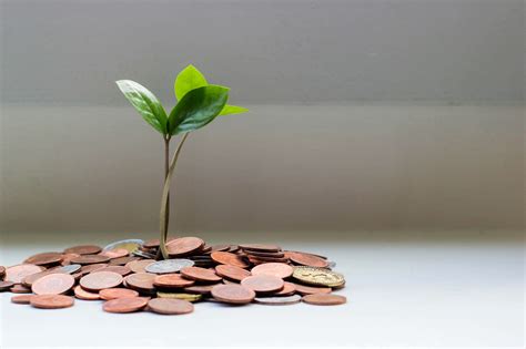 What Is Capital Definition Types And Examples Pareto Labs
