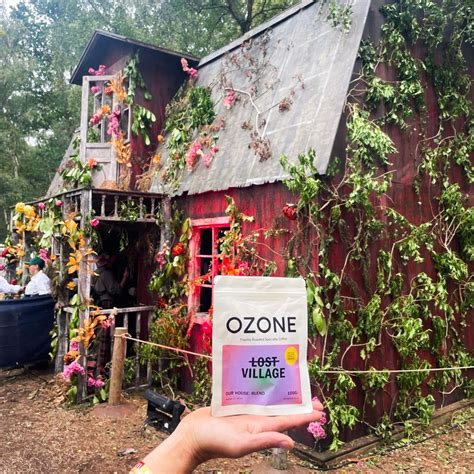 sarushka reddy on linkedin dreamy collab 🌟 thrilled to have partnered with one of my all time fave…