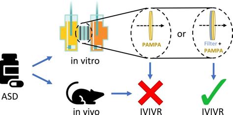 On Linkedin In Vitro In Vivo Relationship For Amorphous Solid Dispersions