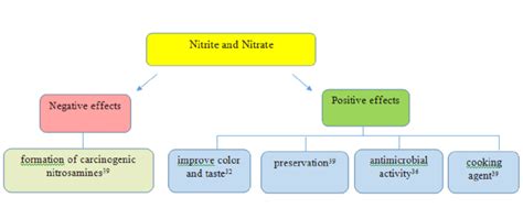 The Nitrite And Nitrate Roles In Meat And Meat Products Download Scientific Diagram