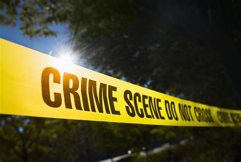 7 Different Types Of Crimes