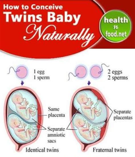 Trying To Conceive Positions
