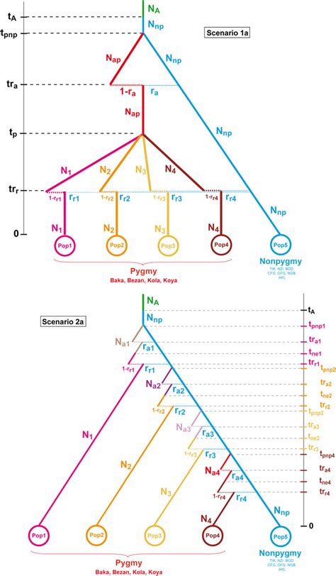 Two Of The Eight Scenarios Compared Through Approximate Bayesian