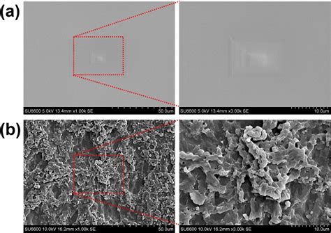 figure 2 from friction property of hierarchical micro nanopatterned