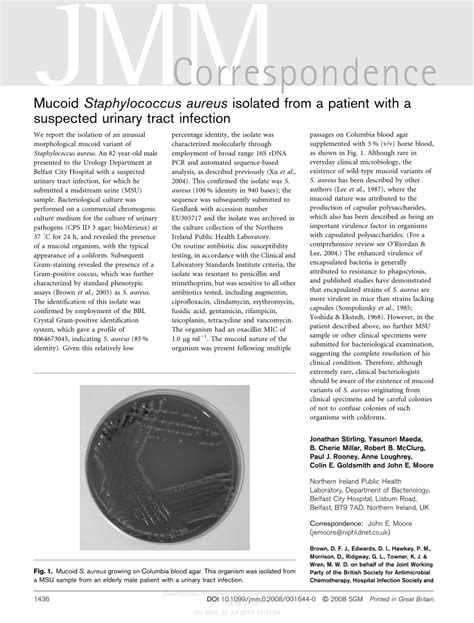 Pdf Mucoid Staphylococcus Aureus Isolated From A Patient With A Suspected Urinary Tract Infection