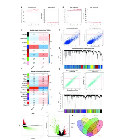 Process Of Screening For Target Genes A Analysis Of Network Topology