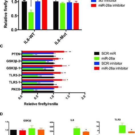 Mir 26a Targets Several Genes Involved In Colitis A Putative Binding