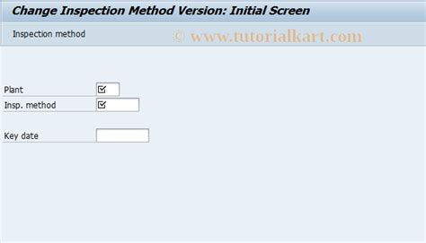 QS SAP Tcode Change Inspection Method Version