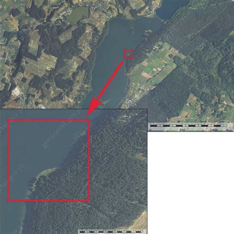Location Of A Test Polygon Download Scientific Diagram