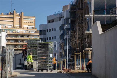 Así van las obras del nuevo parque de Pignatelli