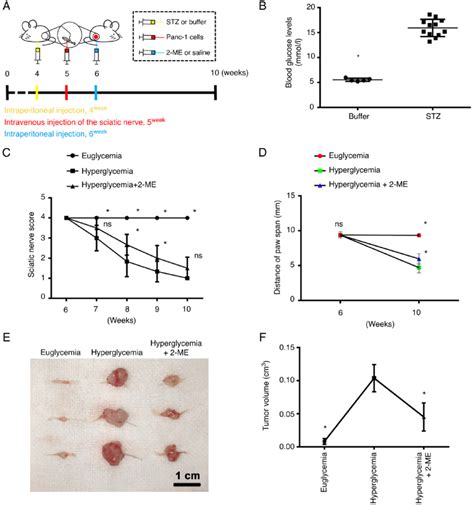 Hyperglycemia Promotes The Pni Of Pancreatic Cancer Cells In A