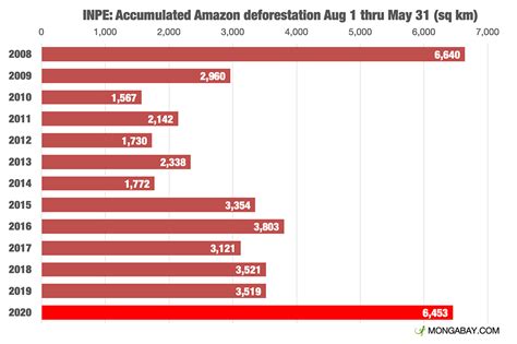 14 Straight Months Of Rising Amazon Deforestation In Brazil