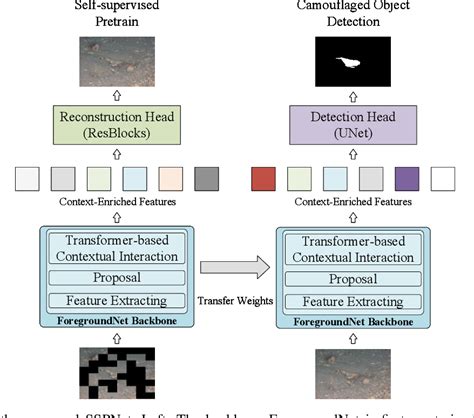 Figure 1 From Self Supervised Learning For Camouflaged Object Detection