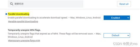 Chrome、edge等浏览器多线程下载功能开启网页下载慢 多线程 Csdn博客