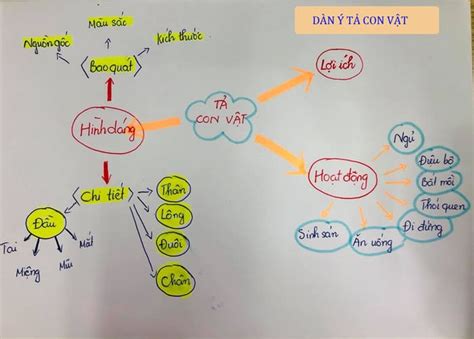 Top 10 Lập Dàn ý Tả Một Con Vật Nuôi Trong Nhà Lớp 4 Siêu Hay điểm Cao