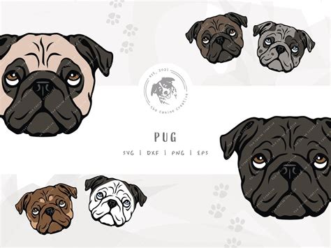 Pug Face Svg Pug Head Clip Art Fawn Pug Illustration Black Pug Art