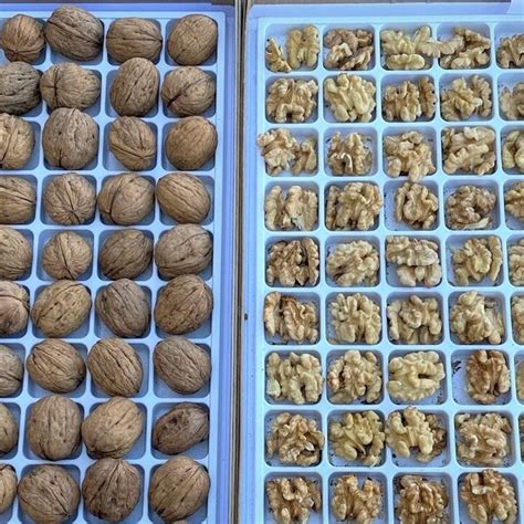 Raw Walnut Offers From United States Trade Data