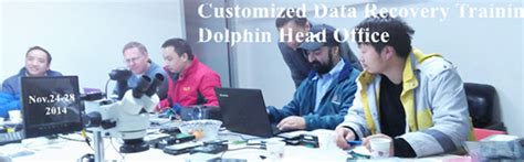 Dolphin Customized Data Recovery Training Courses November Dolphin Data Lab