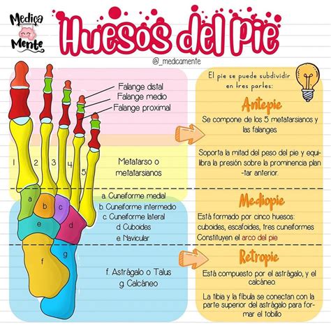 Fuentemedicamente Instagram English Exercises Diabetes Anatomy