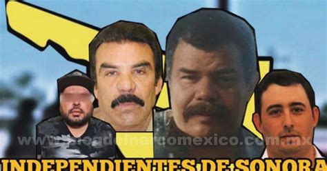 Nuevo Cártel Independiente De Sonora Los Ex Aliados Del Cártel De