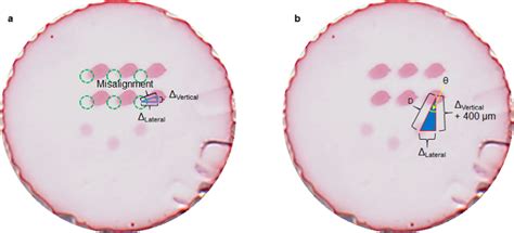 Optimization Of An Antibody Microarray Printing Process Using A Designed Experiment Acs Omega