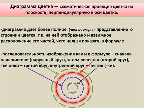 Формула диаграмма цветка Лабораторная работа презентация онлайн