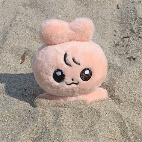 [잡담] 난 아이돌 토끼인형들이 너무너무 좋음 인스티즈 Instiz K Pop 예능 카테고리