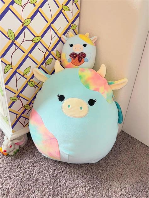 Overdue Update Finally Decided Which Caedia To Keep R Squishmallow