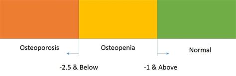 Dexa Scan For Bone Get Test Cost Purpose Pictures 2021