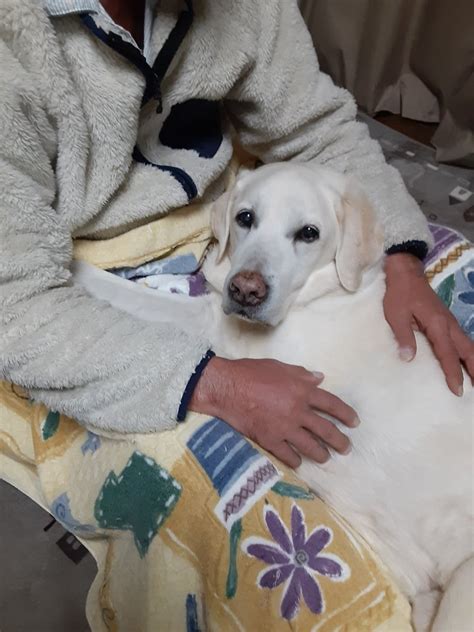 お父さん大好き！ ゆうママのブログ