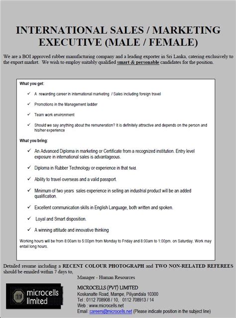 International Sales Marketing Executive Male Female