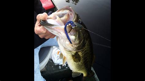 Topwater Frog Blowups Series 2 Bass Fishing Strikes In Slow Motion