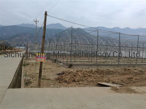 Galvanized Steel Frame Greenhouse Single Span Pe Film Greenhouse For
